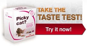 Cat-Food-Taster - Farmer's Wife Rambles