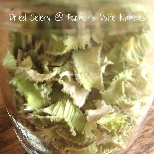 Dried Celery Makes It Easy To Add Vegetables To Your Meals - Farmer's ...