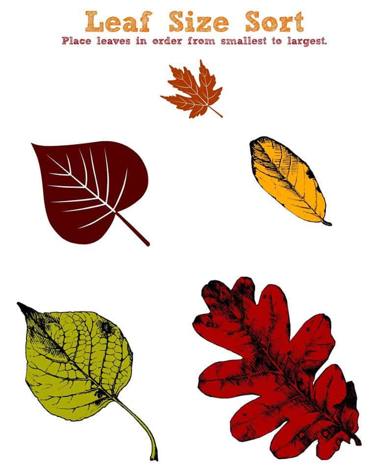 Free Fall Worksheets Printables - Farmer's Wife Rambles