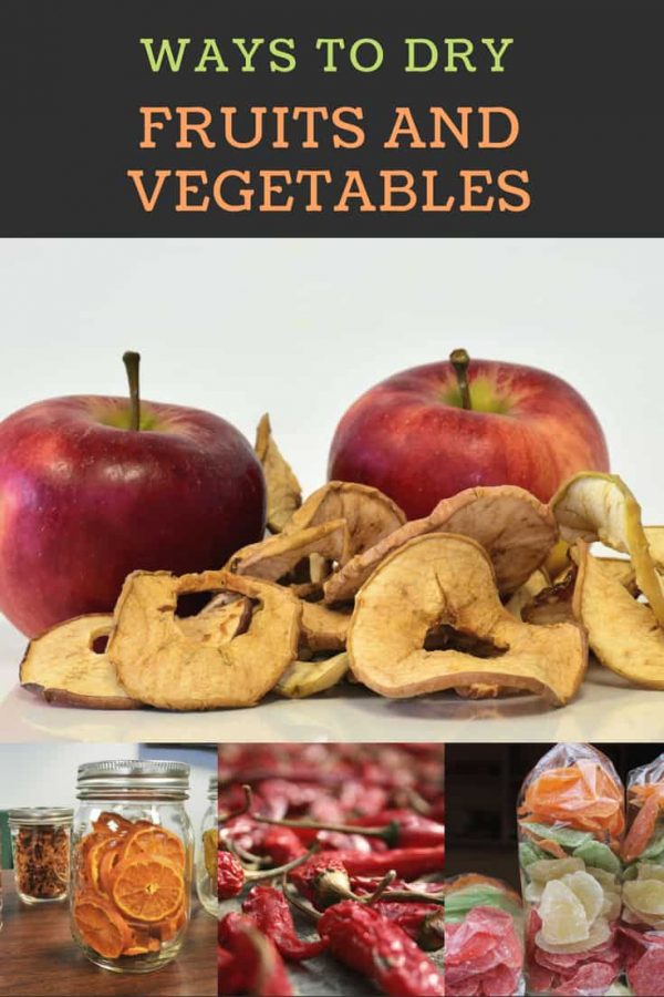 Ways to Dry or Dehydrate Fruits and Veggies - Farmer's Wife Rambles
