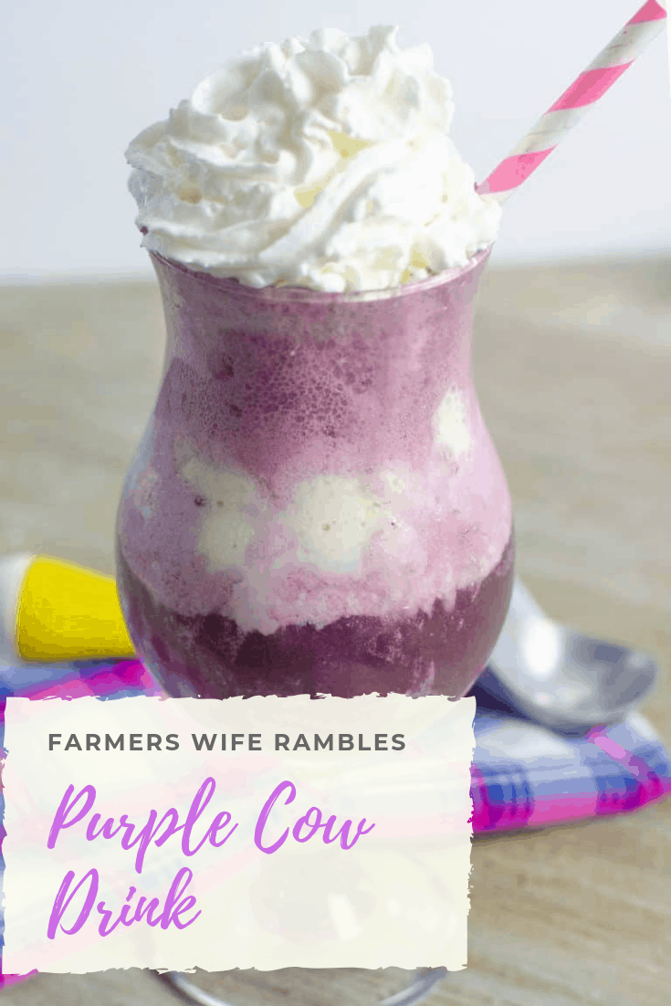 Purple Cow Drink - A Kid Favorite Beverage